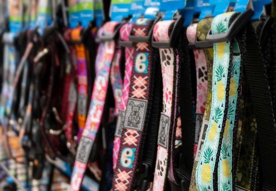 Best Dog Collars Of 2023 - Ca Ira Mieux Demain